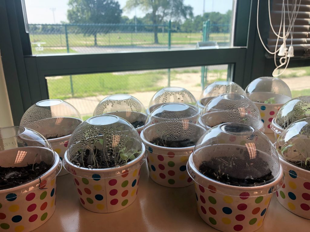 School Gardens - MD Teacher Toolkit