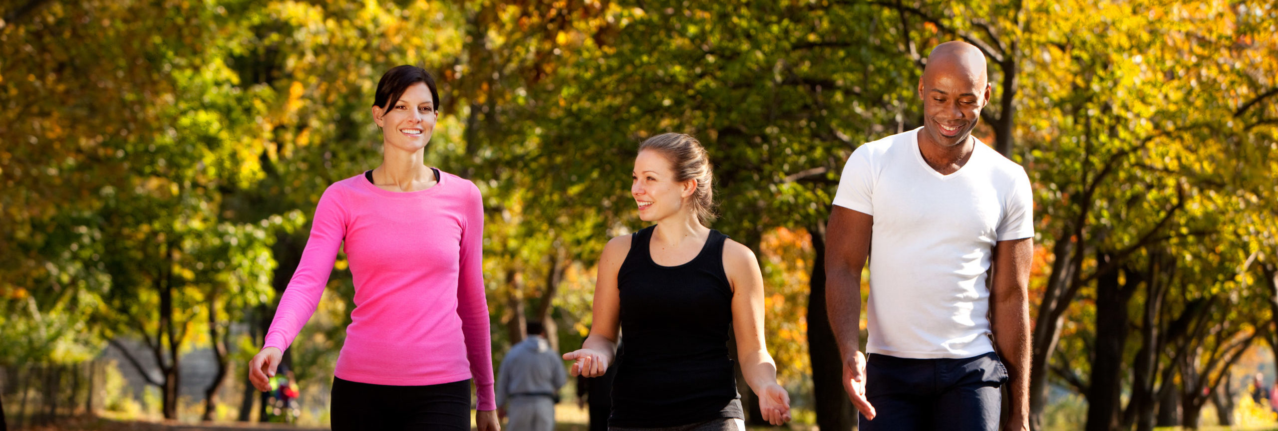 Move More at Work - MD Teacher Toolkit