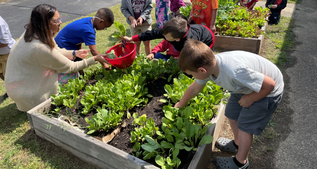 Growing Healthy Habits - MD Teacher Toolkit